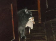 Basya | Basya & Peter Wiki | Fandom