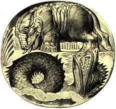 Behemot | Wiki Batalha do Apocalípse | Fandom