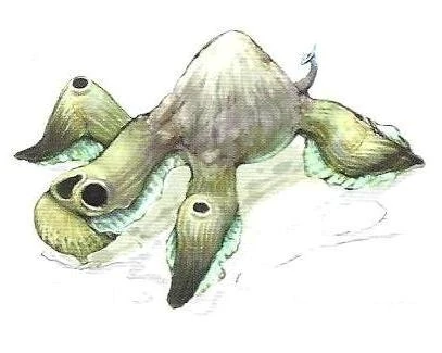 Maw-Maw-Goo | Baten Kaitos Wiki | Fandom