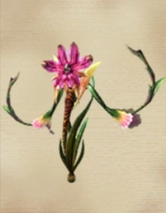 Alraune | Baten Kaitos Wiki | Fandom