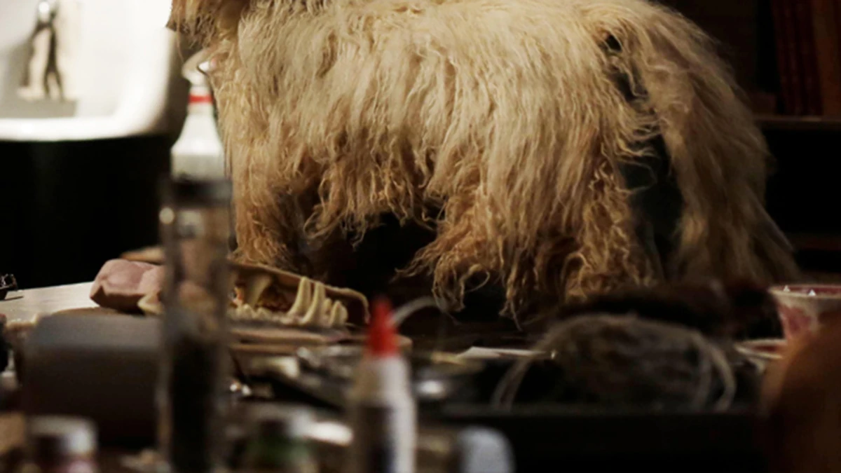 Emma's Blog/Norman's Dog… | Bates Motel Wiki | Fandom