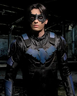 Nightwing | Bat in the Sun Wiki | Fandom