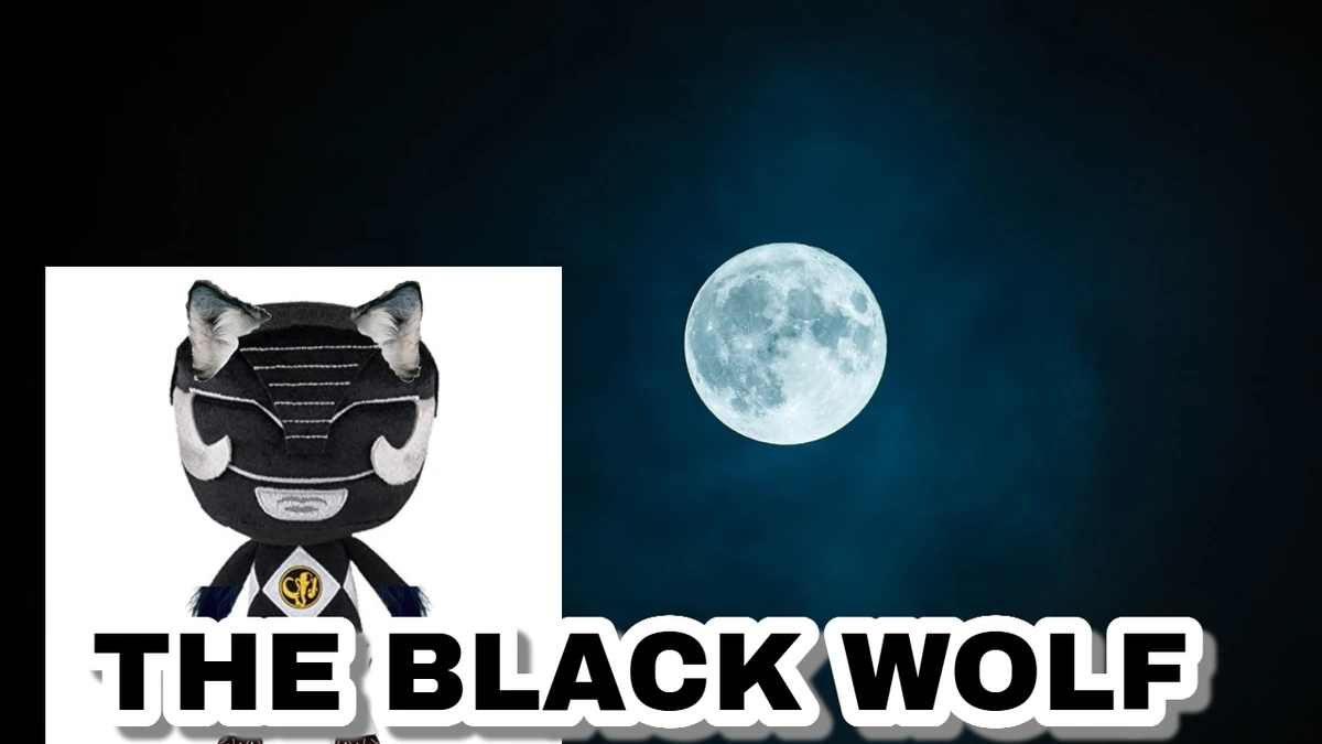The Black Wolf | Batkitty Wiki | Fandom