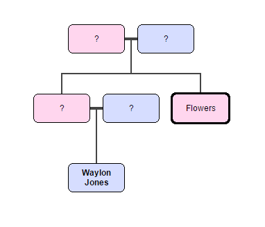 The Jones Family Tree | Batman: Guardian of Gotham Wiki | Fandom