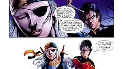 Tim Drake And Rose Wilson