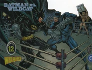 Wildcat | Batman Wiki | Fandom