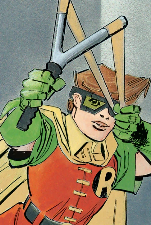 Robin (Carrie Kelley) | Batman Wiki | Fandom