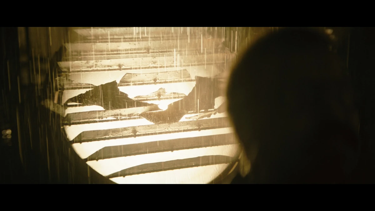 Bat-Signal (Reevesverse) | Batman Wiki | Fandom