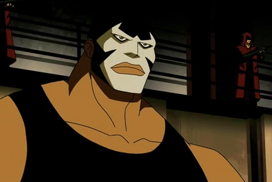 Young Justice The Riddler