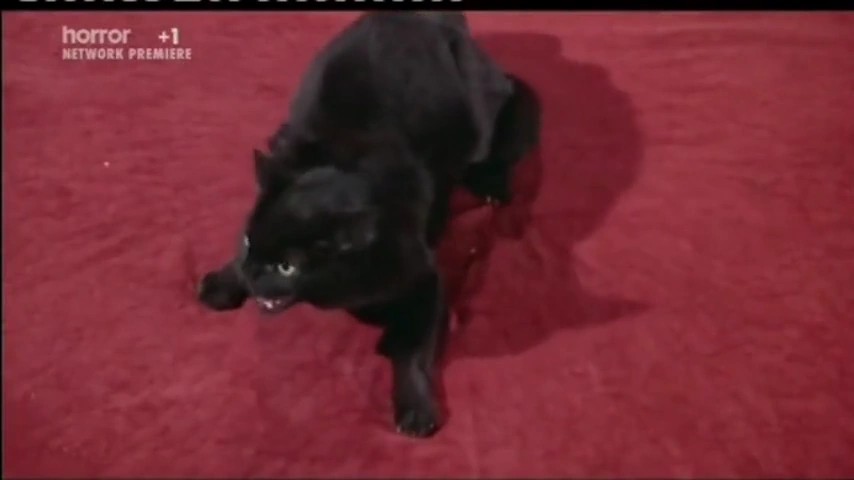 Category:United Underworld Henchmen | Batman Wiki | Fandom