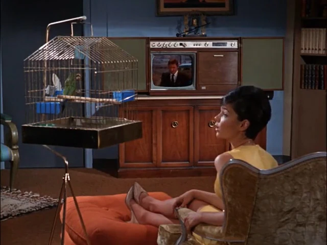 Charlie the Parrot (Dozierverse) | Batman Wiki | Fandom