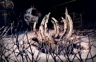 Old Zoo | Batman Wiki | Fandom