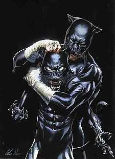 Wildcat (Disambiguation) | Batman Wiki | Fandom