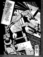 Batgyro | Batman Wiki | Fandom