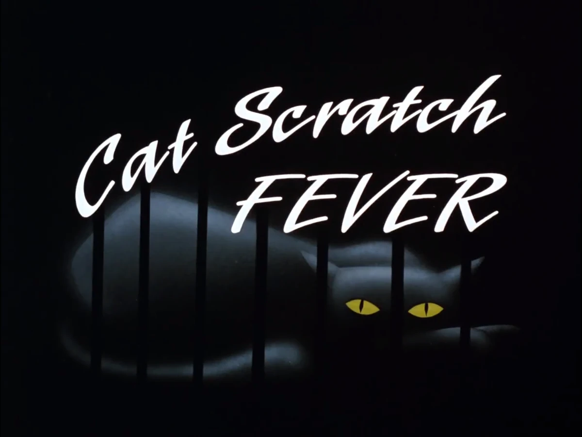 Cat Scratch Fever | Batman Wiki | Fandom