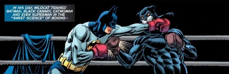 Wildcat | Batman Wiki | Fandom