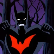 Terry McGinnis (DC Animated Universe)/Gallery | Batman Wiki | Fandom