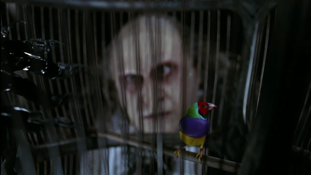 Penguin's Canary | Batman Wiki | Fandom