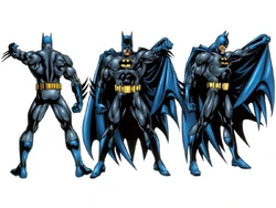 Batsuit Variations