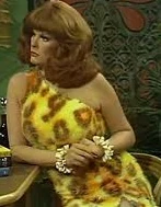 Villains of Batman (1960s series) | Batman Wiki | Fandom