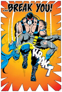 Batman Issue 497 | Batman Wiki | Fandom