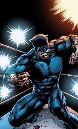 Ted Grant (Nouvelle Terre) | Wiki DC Comics | Fandom