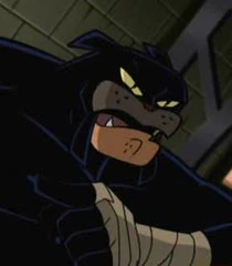Wildcat (Batman: The Brave and the Bold) | Batman Wiki | Fandom