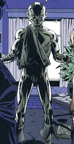 Silver Monkey | Batman Wiki | Fandom