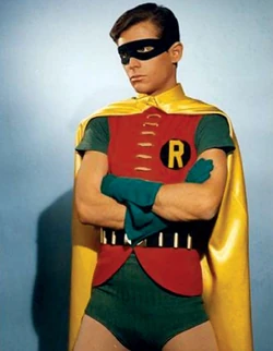 Bad Cosplay Robin