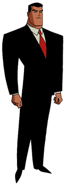 Batman | Batman Animated Universe Wiki | Fandom