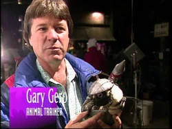 Gary Gero | Batman Anthology Wiki | Fandom