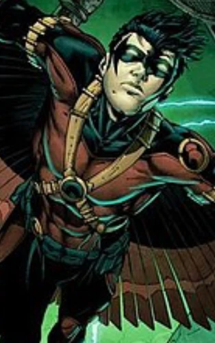 Red Robin | Batman Fanon Wiki | Fandom