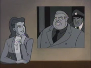 Summer Gleeson Gallery | Batman:The Animated Series Wiki | Fandom