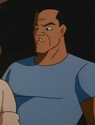 I've Got Batman in My Basement/Gallery | Batman:The Animated Series ...