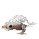 Borb | Batorok Wiki | Fandom