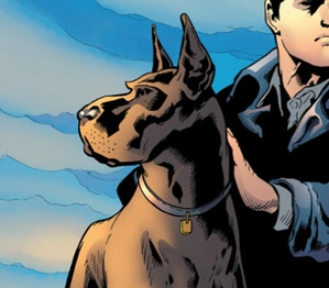 Titus | Batpédia | Fandom