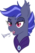 Night Watch | Batponies Wiki | Fandom
