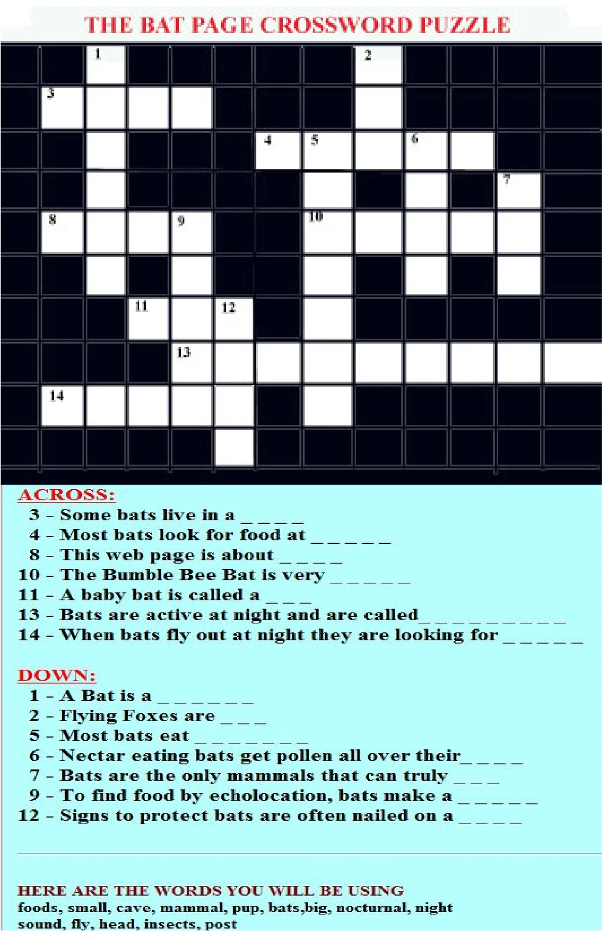 Games | Bats Wiki | Fandom