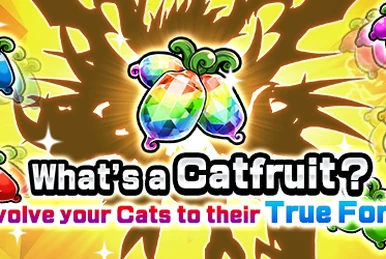 how to make tangram in growtopia