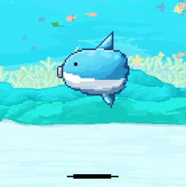 Mola Mola Baby