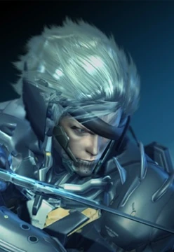Raiden | Battle Fighters: The Ultimate FIghters Wiki | Fandom