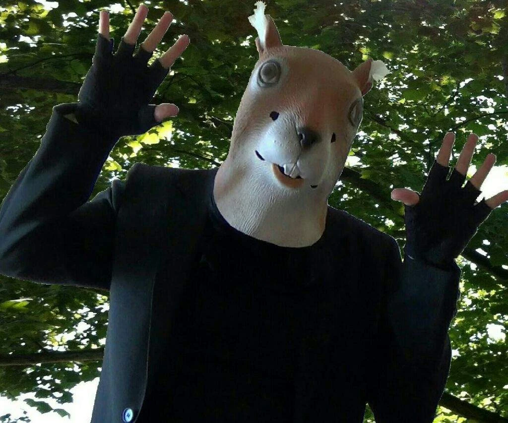 Nicky Nutterball | Battle Fighters: The Ultimate FIghters Wiki | Fandom