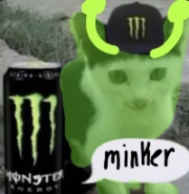 THE MINKER | Battle For A Box Wiki | Fandom