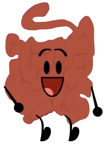 Small Intestine | Battle For Anatomy of Organs Wiki | Fandom