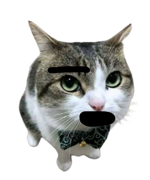 Fancy Cat | Battle For A.S.S Wiki | Fandom