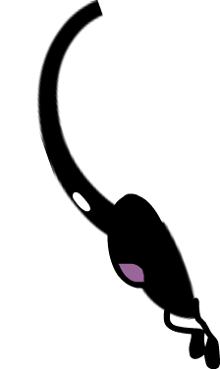 BFBOI | Battle for boi Wiki | Fandom