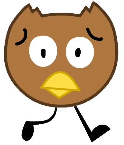 Owl | Battle for boi Wiki | Fandom