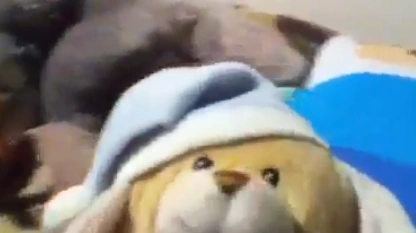 Jasper | Battle For Dream Plushie Wiki | Fandom