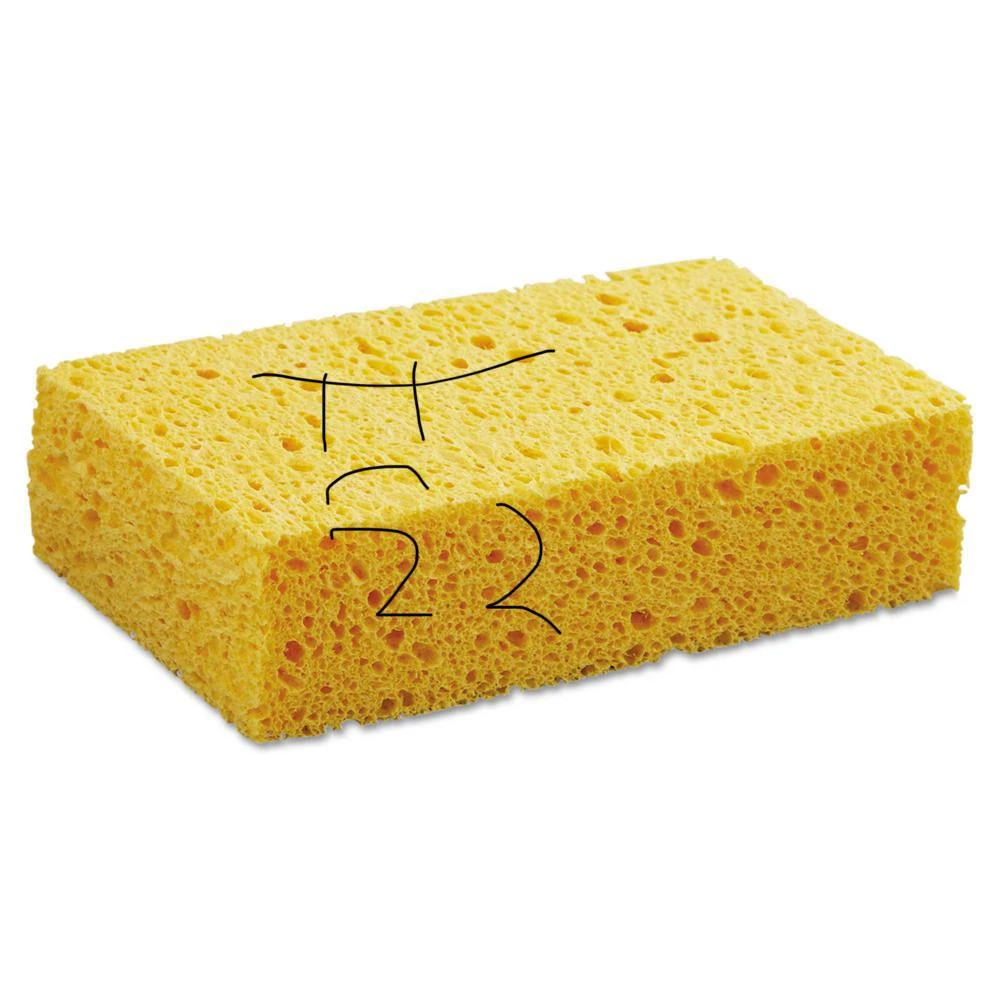 Sponge | Battle for jam island Wiki | Fandom