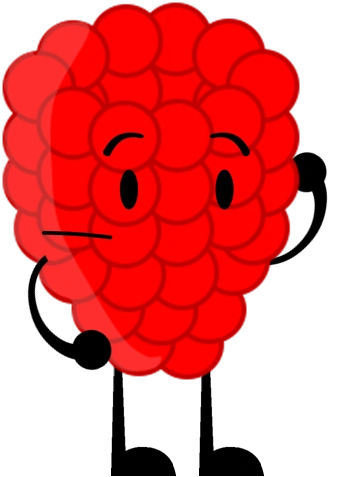 Raspberry | Battle For Object Town Wikia | Fandom